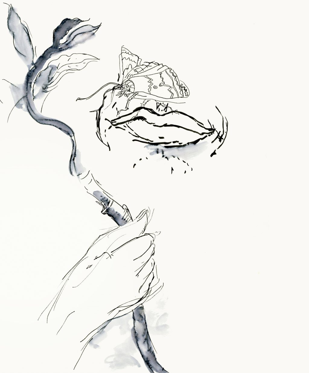 Three Wall - Cassandra MacLeod